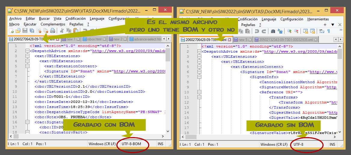 Identificar archivo XML con BOM | Importancia y soluciones