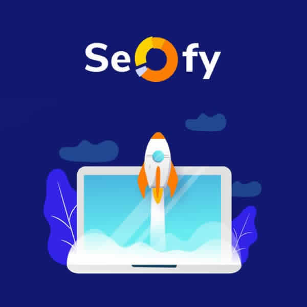 Seofy – SEO & Digital Marketing Agency - Tema WordPress SEO para ...